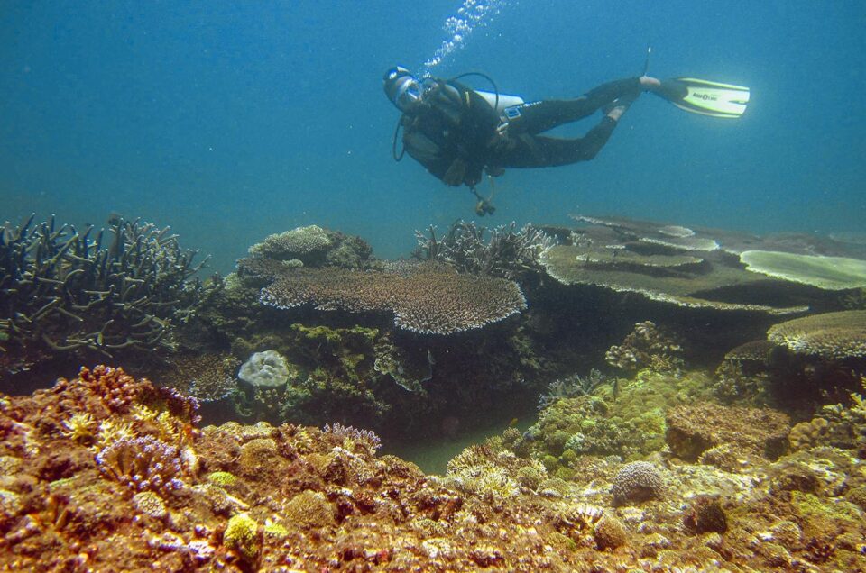 Paket One Day Tour Fun Diving Belitung - Belitung Tour